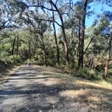 Cardinia Aqueduct Trail, Victoria, Australia - 266 Reviews, Map | AllTrails