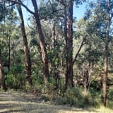 Cardinia Aqueduct Trail, Victoria, Australia - 266 Reviews, Map | AllTrails