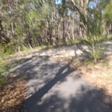 Cardinia Aqueduct Trail, Victoria, Australia - 266 Reviews, Map | AllTrails