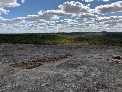 Best Hikes and Trails in Thomsons Lake Nature Reserve | AllTrails