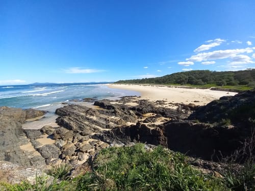 2023 Best trails in Hallidays Point - Black Head | AllTrails