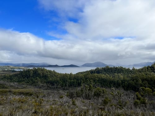 Best Hikes and Trails in Tolosa Park | AllTrails