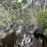 Lake Judd Trail, Tasmania, Australia - 38 Reviews, Map | AllTrails