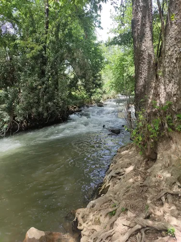 Best Wildlife Trails in Nahal Snir Nature Reserve | AllTrails