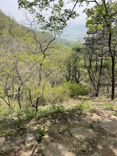Best Hikes and Trails in Miaofeng Mountain Scenic Area | AllTrails