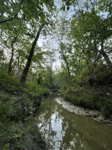 Best Hikes and Trails in Pettinger Nature Preserve | AllTrails