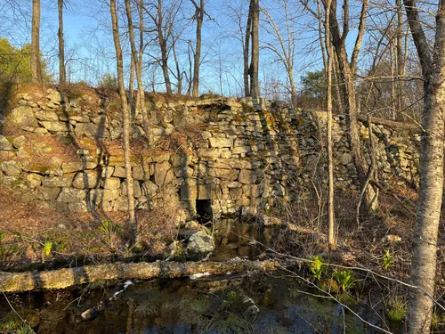 10 Best Easy Trails in Pachaug State Forest | AllTrails