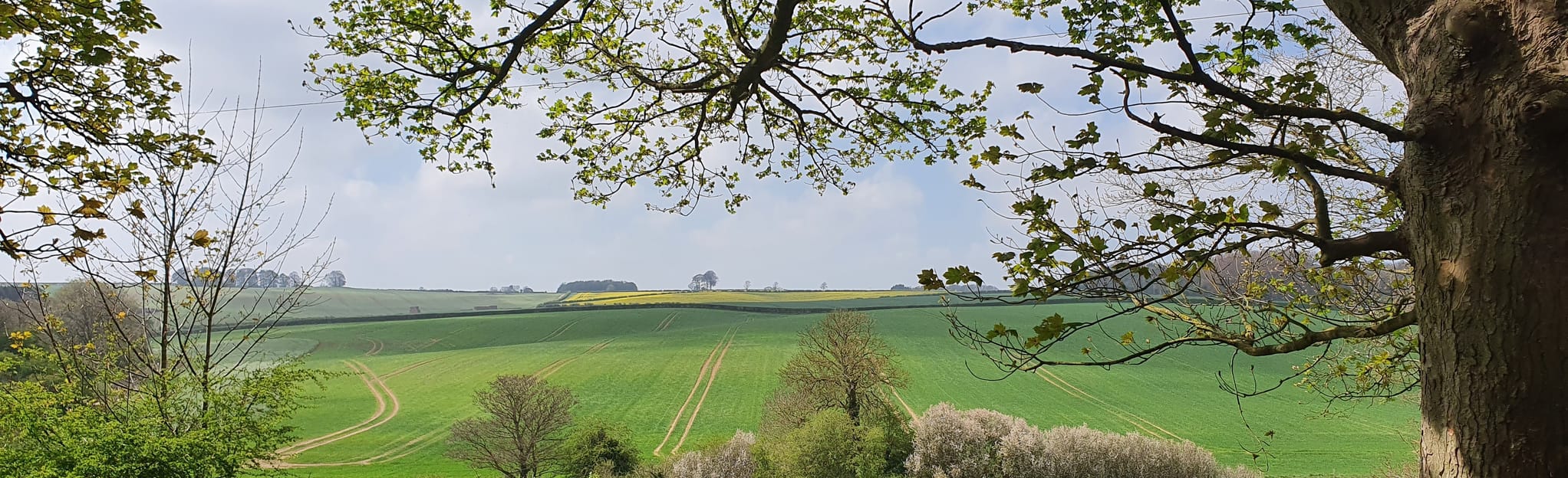 Louth Circular: 4 Reviews, Map - Lincolnshire, England | AllTrails