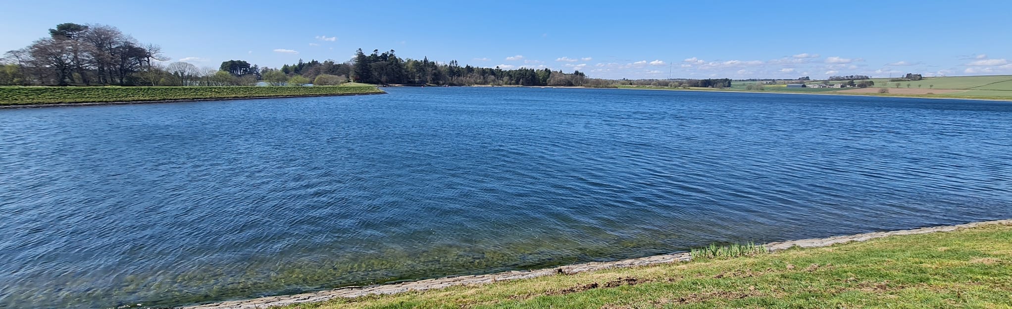 Monikie Park Circular: 8 foto - Dundee City, Scozia | AllTrails