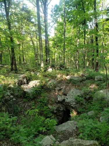 Best Hikes and Trails in Cathedral Caverns State Park | AllTrails