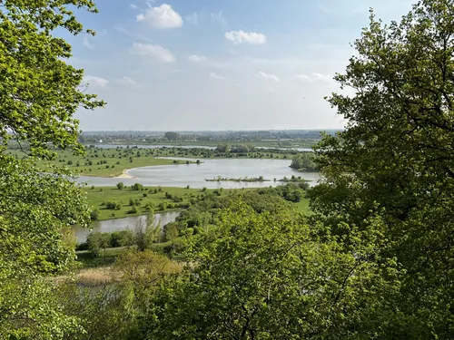 De 10 beste wandelroutes om te wandelen in Rhenen | AllTrails