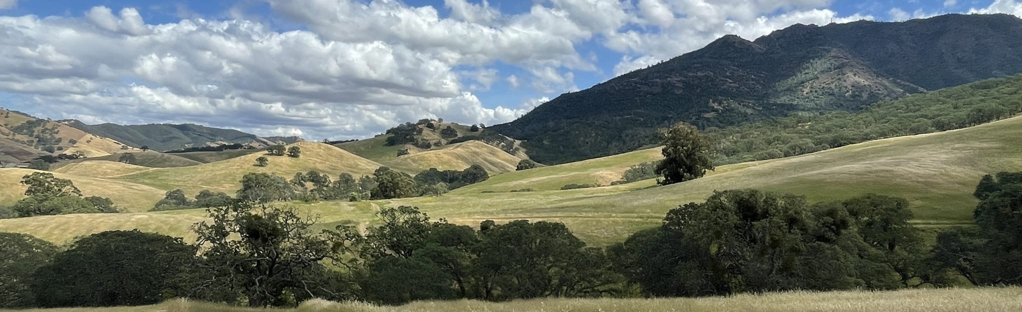 AllTrails | Mount Diablo Summit Loop via Mitchell Canyon and Donner ...