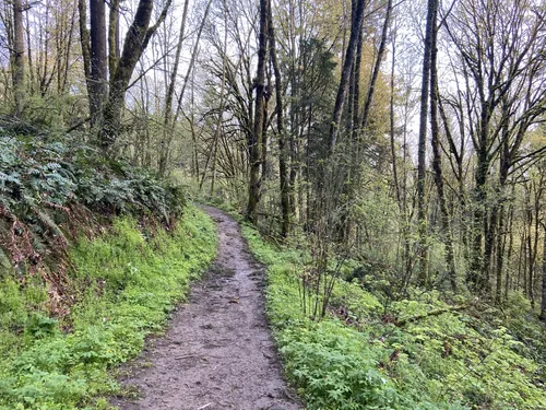 10 Best Hikes and Trails in Forest Park | AllTrails