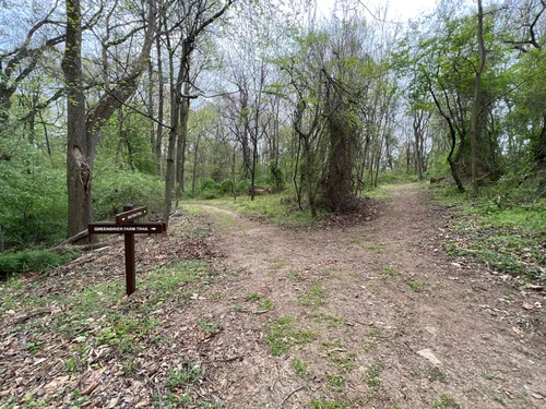 Best Hikes and Trails in Bohemia River State Park | AllTrails