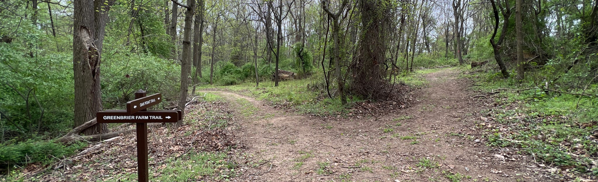 Oak Point Trail, Maryland - 41 Reviews, Map | AllTrails