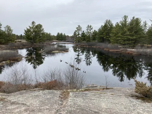 Best Hikes and Trails in Carp Hills Municipal Nature Reserve | AllTrails