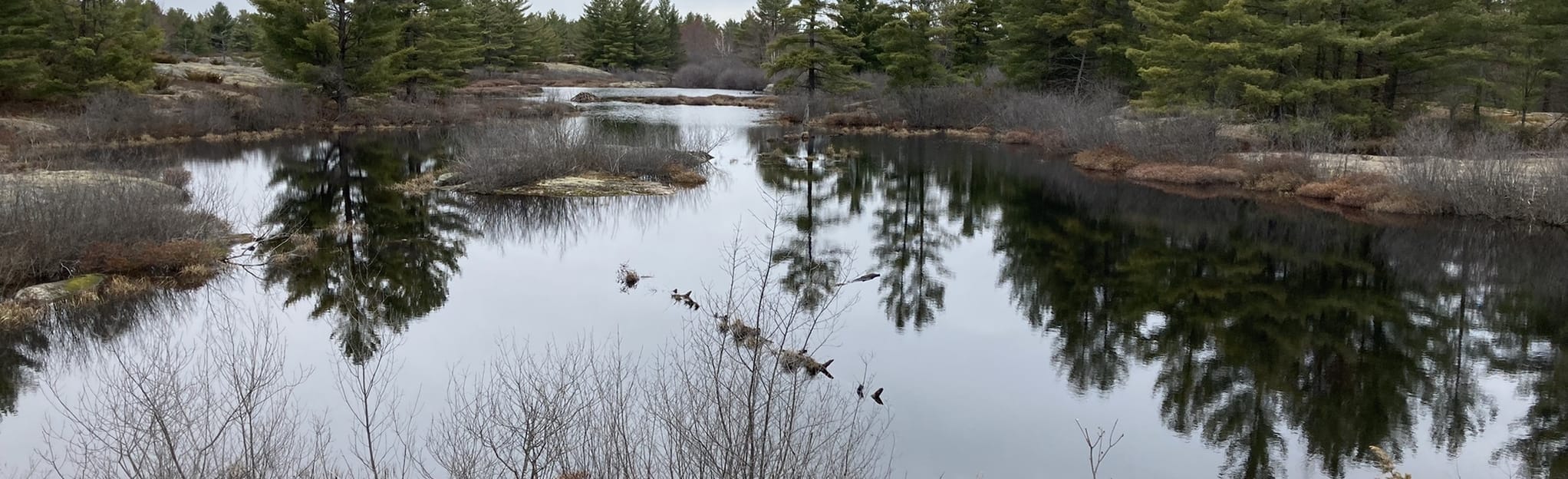 Carp Barrens Trail, Ontario, Canada - 352 Reviews, Map | AllTrails