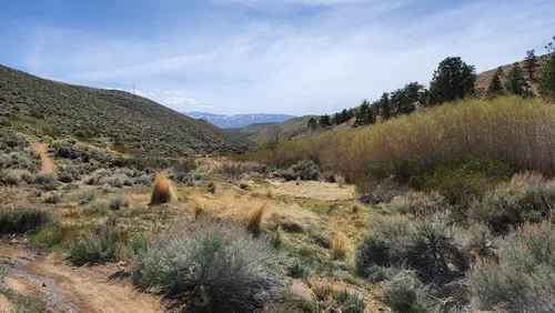 10 Best Trails and Hikes in Reno | AllTrails