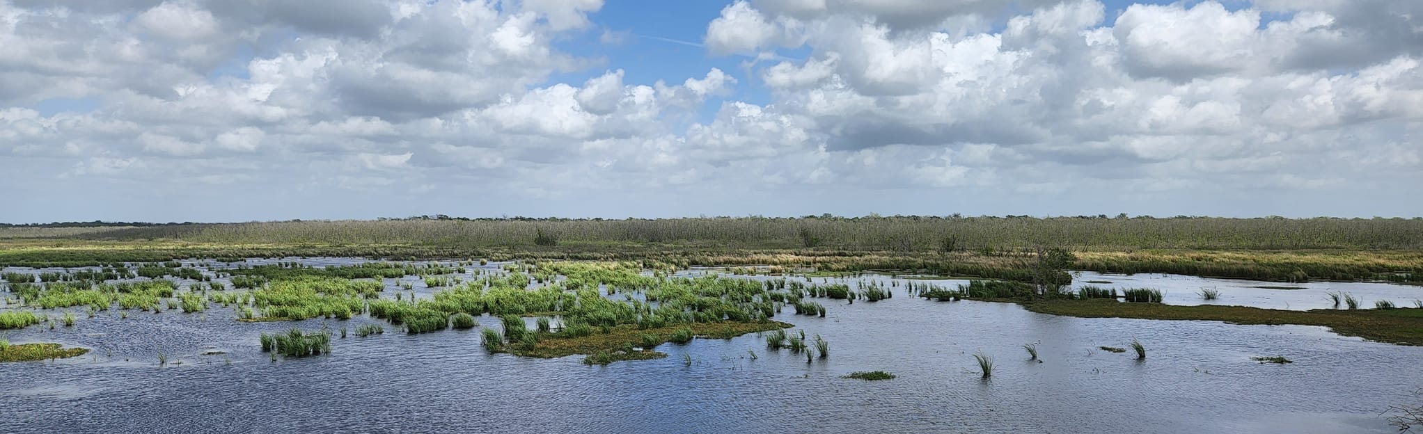 40 Acre Lake Trail, Texas - 323 Reviews, Map | AllTrails