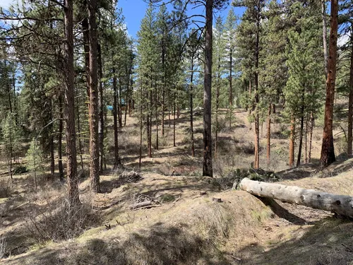 10 Best Hikes and Trails in Boise National Forest | AllTrails