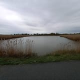 Ben Cardin C&D Canal Trail to Michael Castle Trail, Maryland - 450 ...
