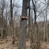 Busby Trail, Spruce Hill Lost Pond and Blackburnian Loop, Massachusetts ...