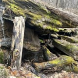 Busby Trail, Spruce Hill Lost Pond and Blackburnian Loop, Massachusetts ...
