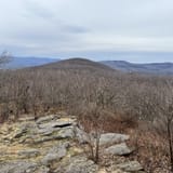 Busby Trail, Spruce Hill Lost Pond and Blackburnian Loop, Massachusetts ...