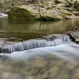 Trout Run Trail, Pennsylvania - 289 Reviews, Map | AllTrails