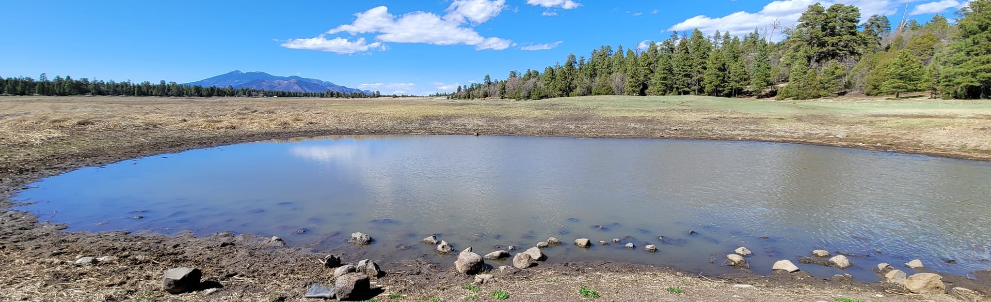 Marshall Lake: 40 Reviews, Map - Arizona | AllTrails