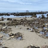 Sand Point Trail, Washington - 254 Reviews, Map | AllTrails