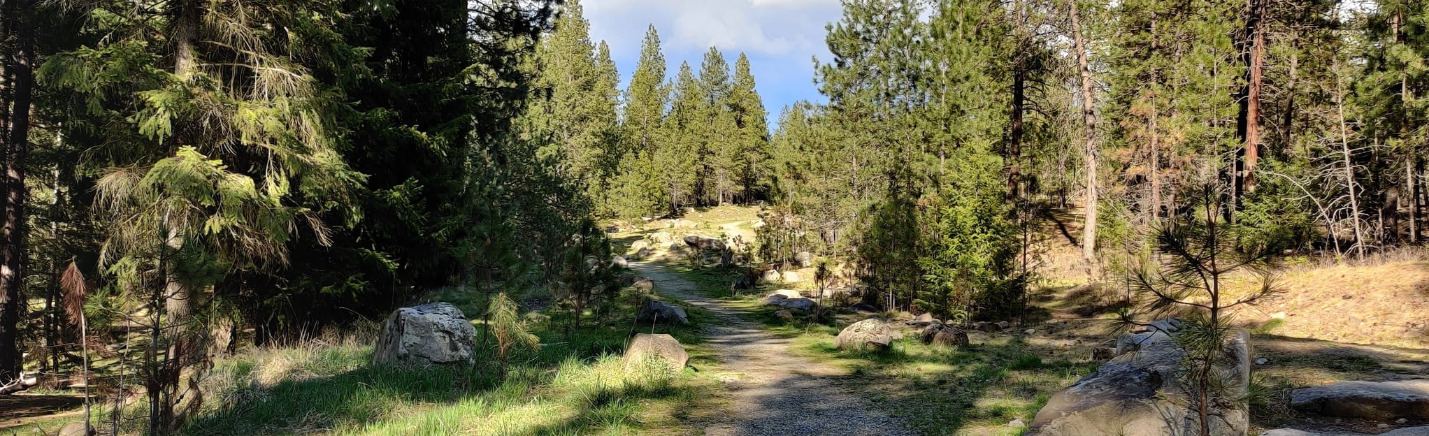 Haynes Estate, Pine Loop: 99 Reviews, Map - Washington | AllTrails