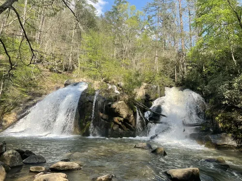 10 Best Waterfall Trails in Cherokee National Forest | AllTrails