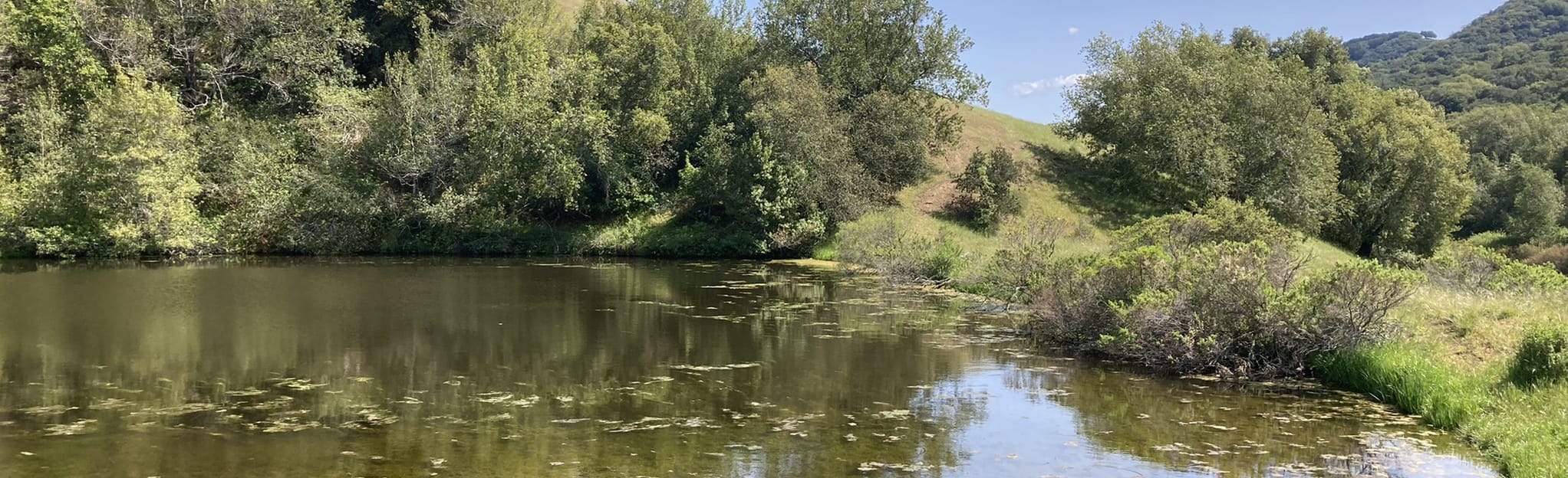 Courdet, North Ridge, Mariposa, Sinbad Creek, Turtle Pond Loop | Map ...