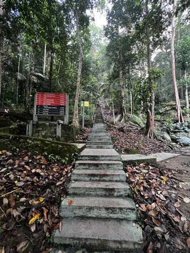 2023 Best Forest Trails in Hutan Lipur Soga Perdana | AllTrails