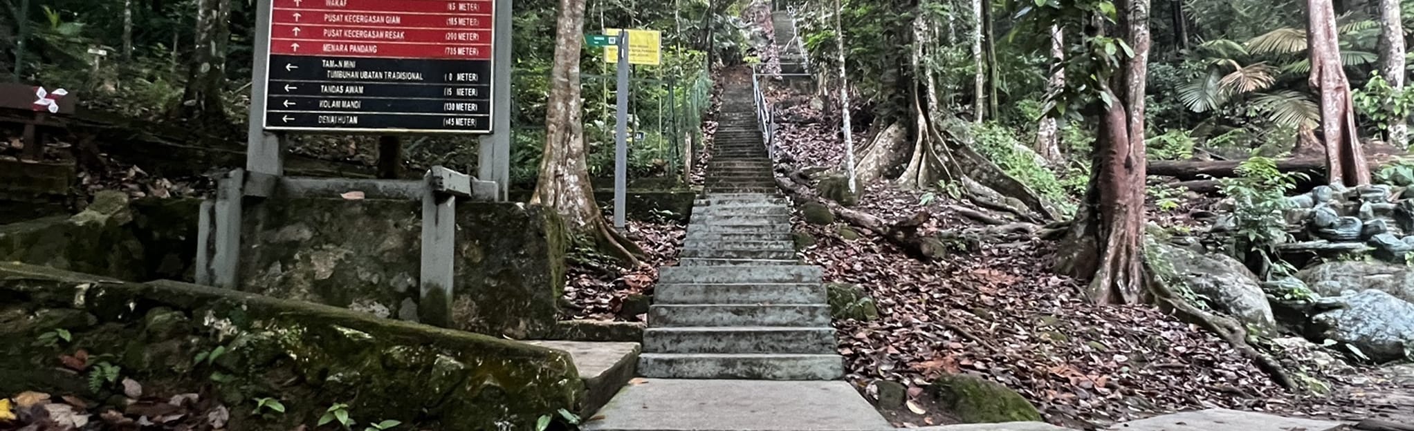 Bukit Soga: 19 Fotos - Johor, Malaysia | AllTrails