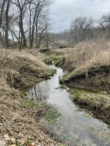 Best Hikes and Trails in Yellow River State Forest | AllTrails