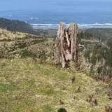 Angora Peak, Oregon - 374 Reviews, Map | AllTrails