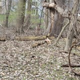 Billy Wilson Park Trail Loop, New York - 54 Reviews, Map | AllTrails