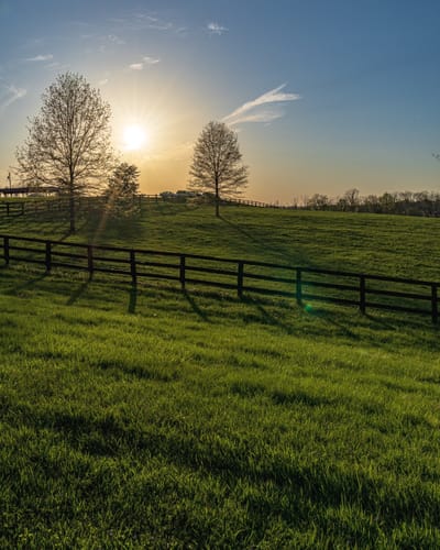 Best Hikes and Trails in Jacobson Park | AllTrails