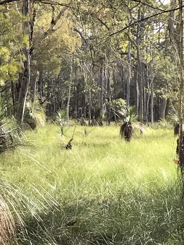Best Hikes and Trails in Freshwater National Park | AllTrails