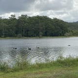Wappa Dam and Falls Loop, Queensland, Australia - 40 Reviews, Map ...