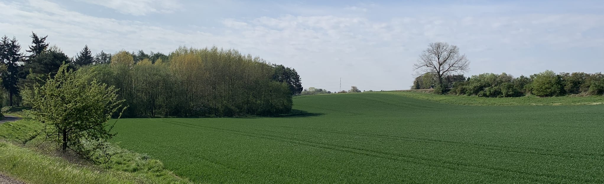 Around Bothey: 6 Reviews, Map - Namur, Belgium | AllTrails