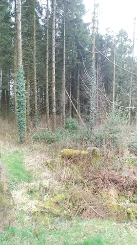 Best Hikes and Trails in Pomeroy Forest | AllTrails