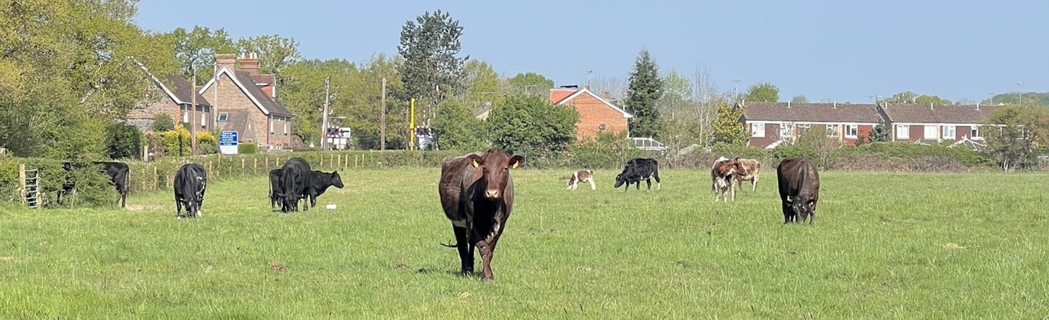 Two Mile Ash to Barns Green Circular, West Sussex, England - 7 Reviews ...