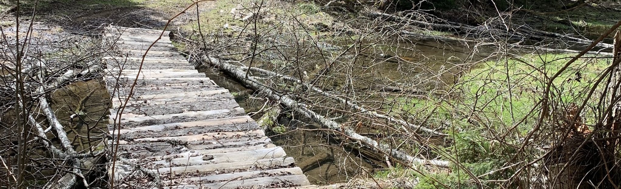 Complexul Turistic Fântânele - Poiana Marchiș - Complexul Turistic ...