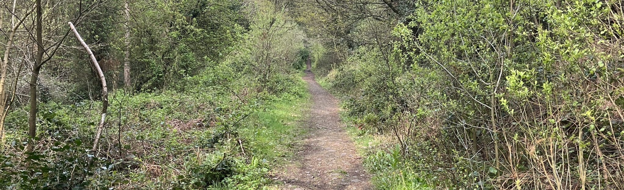 Glen of Aherlow - Bianconi Loop | Map, Guide - County Tipperary ...