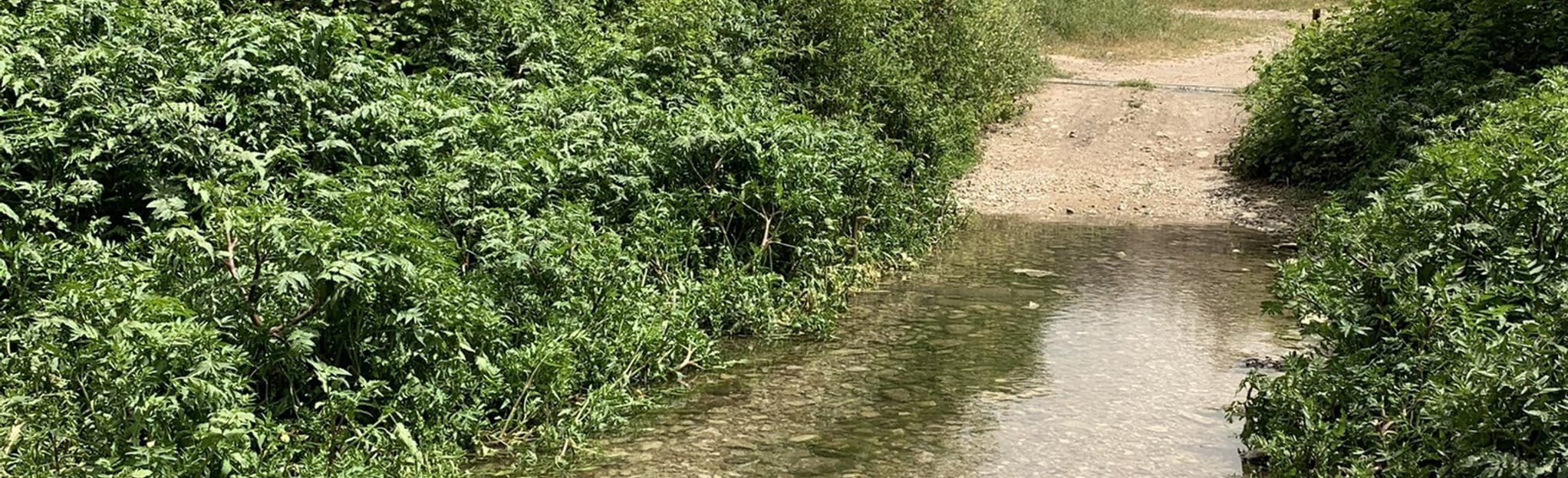 Ramot Menashe and Dalia Forest | Map, Guide - Northern District HaZafon ...