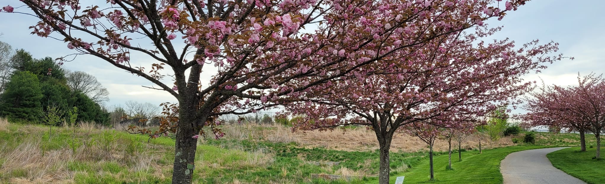 Western Regional Park Loop Trail | Map, Guide - Maryland | AllTrails