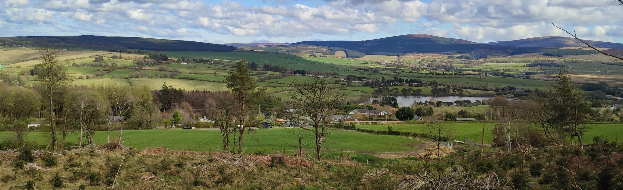 Saggart Wood via Slademore Road: 93 Reviews, Map - County Dublin ...